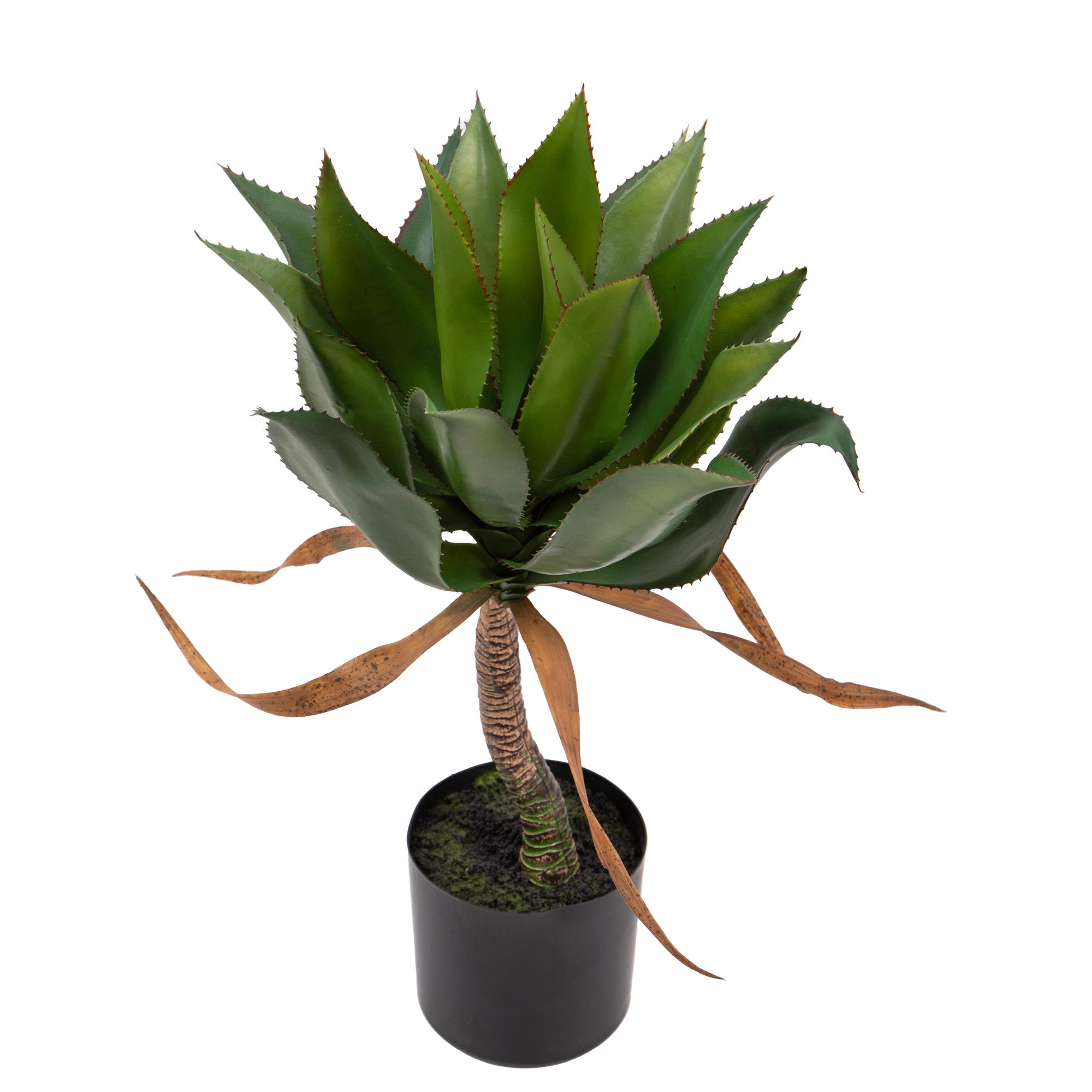 Piante Artificiali – My Garden